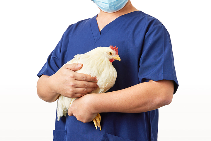 大武山牧場 | 品牌簡介－AA級堅持